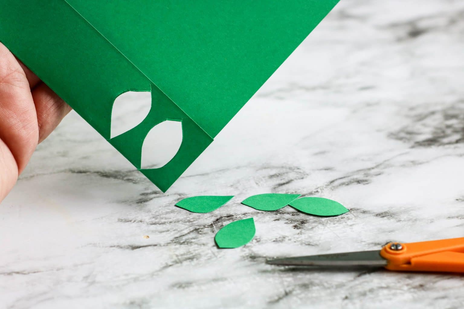 Curled Paper Spring Flower Craft - Mom. Wife. Busy Life.