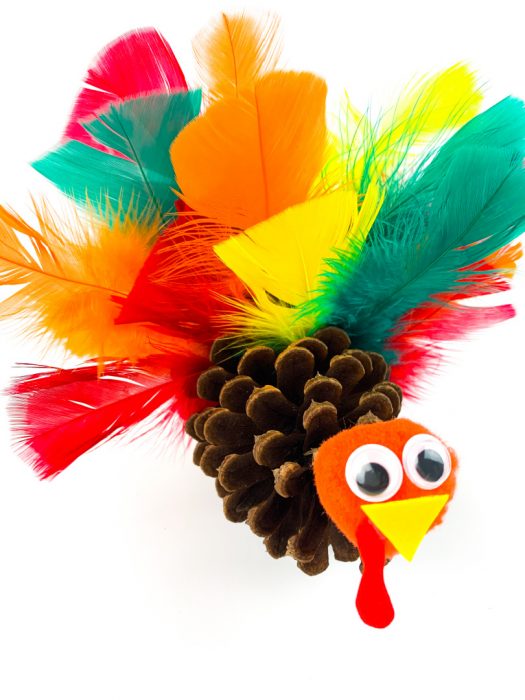 Pine Cone Turkey Craft Craft for Kids - Mom. Wife. Busy Life.