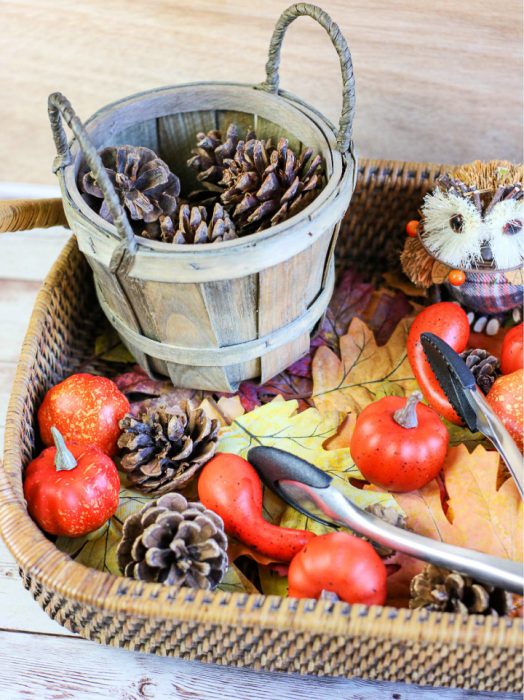 10+ Thanksgiving Sensory Bin Ideas - Mom. Wife. Busy Life.