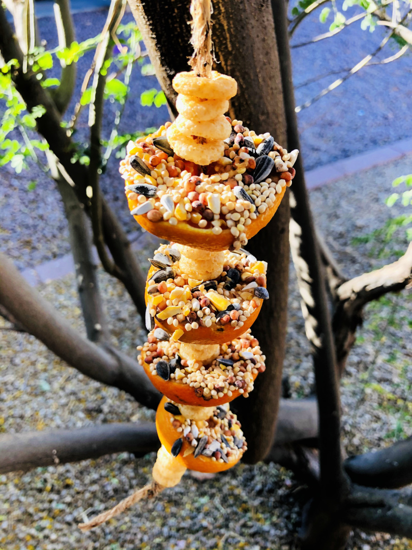 DIY Homemade Orange Bird Feeder - Mom. Wife. Busy Life.