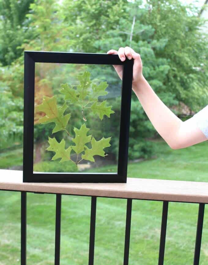 Dry Leaves Crafts - Mom. Wife. Busy Life.