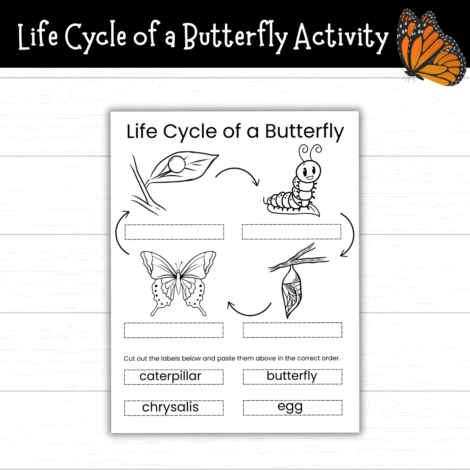 FREE Printable Butterfly Activity Pack - Mom. Wife. Busy Life.