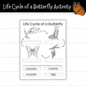 Printable Life Cycle of a Butterfly Cut and Paste Activity - Mom. Wife ...