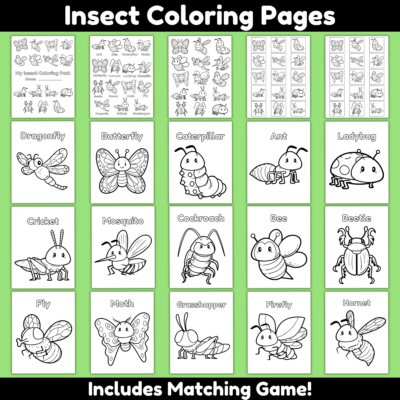 Insect Coloring Pack for Kids Printable: Spring Bug Unit - Mom. Wife ...
