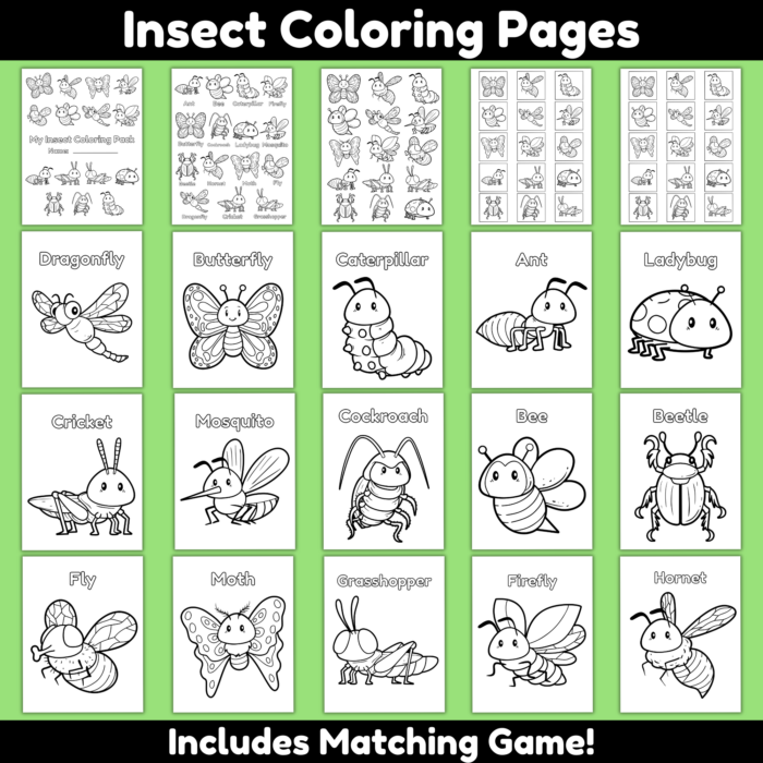 Insect Coloring Pack for Kids Printable: Spring Bug Unit - Mom. Wife ...