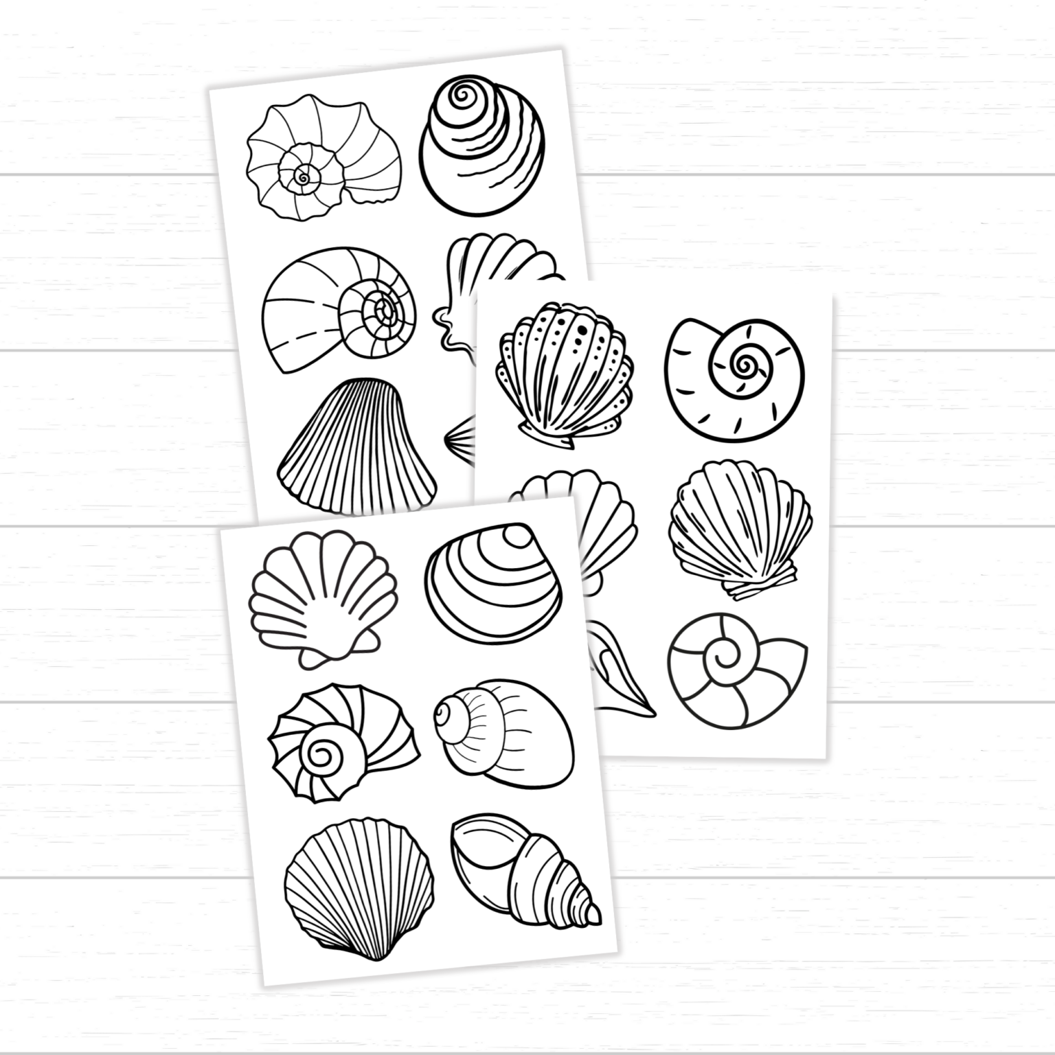 Printable Seashell Coloring Pages (3 Options!) - Mom. Wife. Busy Life.