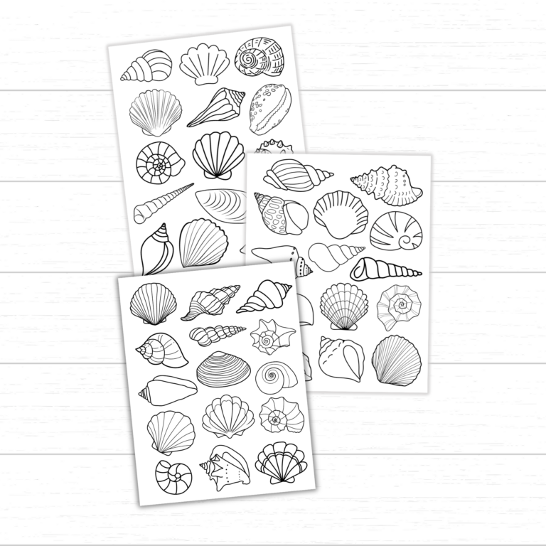 Printable Seashell Coloring Pages (3 Options!) - Mom. Wife. Busy Life.